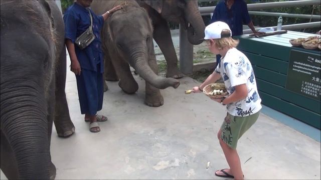 🄿🄰🅃🅃🄰🅈🄰 🇹🇭 НОВАЯ ДЕРЕВНЯ СЛОНОВ в ПАТТАЙЯ 𓃰 Elephant Jungle Sanctuary Pattaya (часть 11)