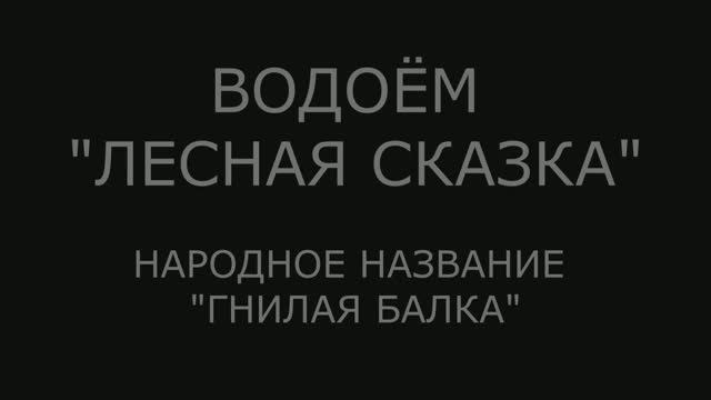 Водоемы Донбасса: фильм 11 - водоём "Лесная Сказка", 30 марта 2020г.