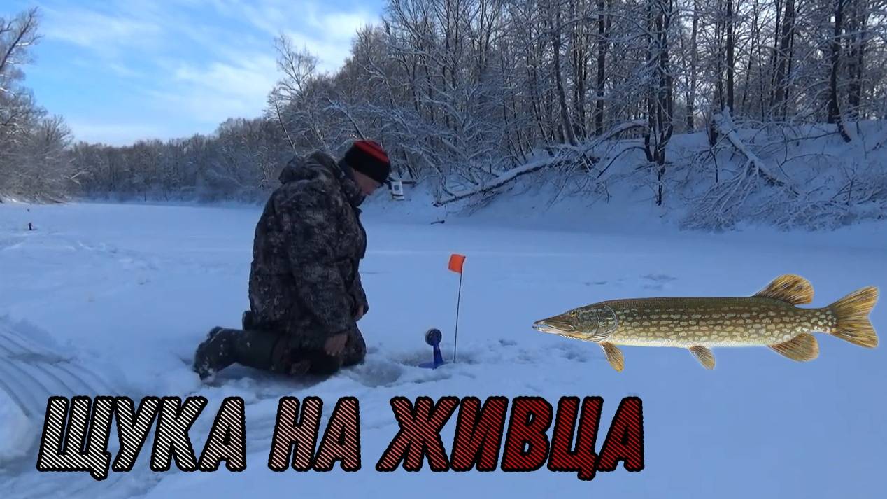 ПЕРВЫЙ ЛЕД! КЛЕВАЛА ОДНА ЗА ДРУГОЙ! ВОТ ЭТО ДАА РЫБАЛКА НА ЖЕРЛИЦЫ! ЩУКА В ДЕКАБРЕ! ОКУНЬ НА ЖИВЦА!