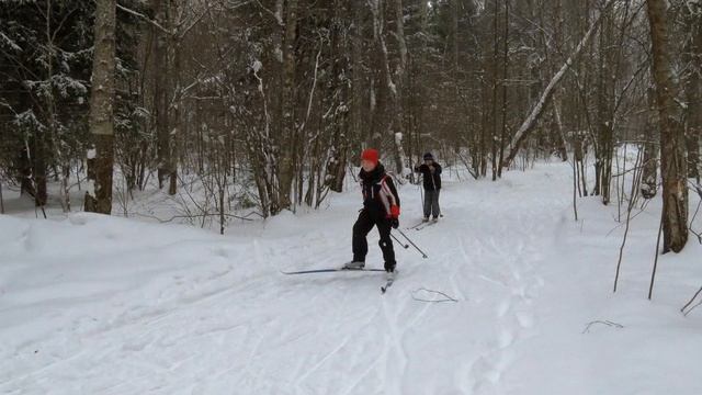 лыжня СДЮШОР пгт Львовский Московская область - январь 2017