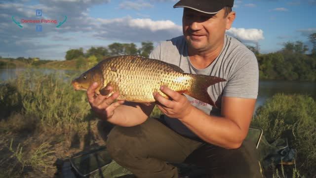 ВОДОЕМЫ ДОНБАССА, фильм 18 - "АКВАТОРИЯ": поймать карпа проще не бывает!