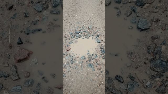 1.12.24 #ниднябезрифмы