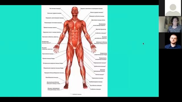 Физическая подготовка в туризме с точки зрения медика. Профилактика травм в подготовительном периоде