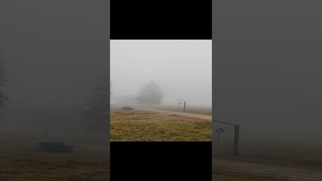 Утро 26.11.2024 г. Кавказ.