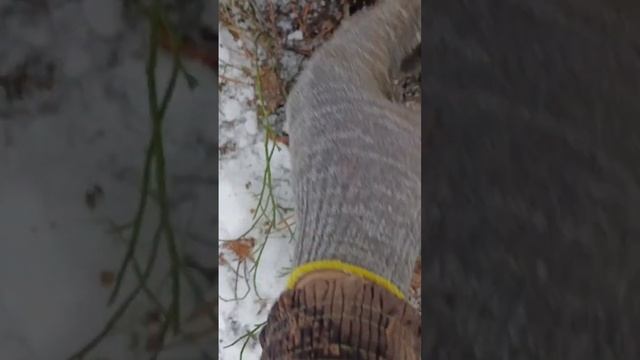 Передняя опора челюстного погрузчика ПЛ- 2 или ЛТ-65