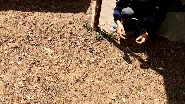 Встреча С Нотпл