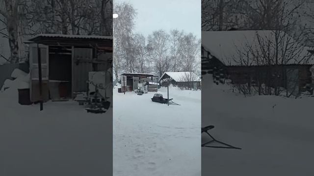 09.01.24 Реверс переключения скорости м.собаки