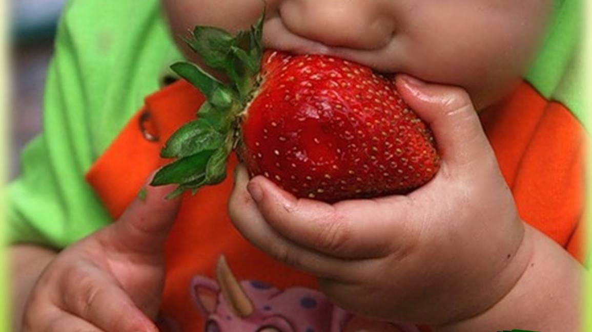 Первый урожай в жизни (муз. "Лесной олень"). плейлист "Мир входящему"