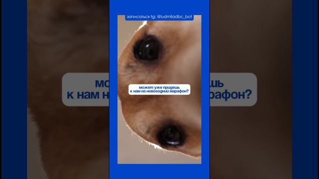 Предновогодний завершающий марафон  "ВОЗВРАЩЕНИЕ ДОМОЙ"...подробнее читай в описании⬇️