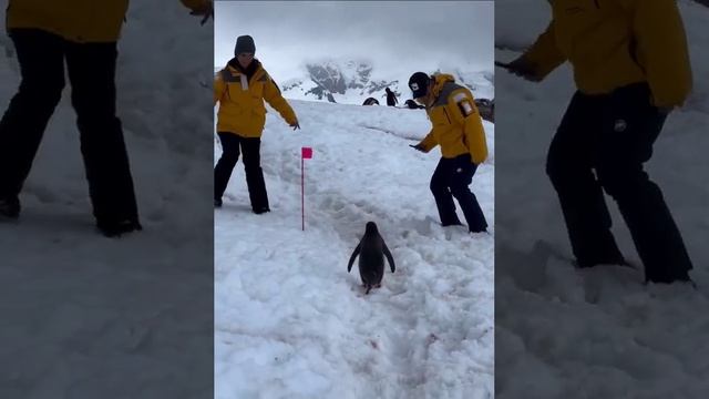 Простите, пожалуйста, можно я пройду?