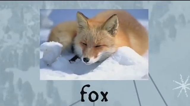 The History & Origin Of Santa's Reindeer