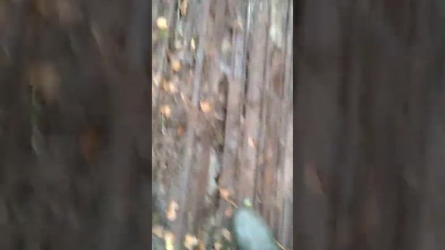 Находка. Пачка рельс.