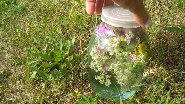 Как я готовлю сурицу