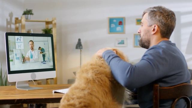 🐶 Стерилизация питомца: услуги ветеринарных клиник