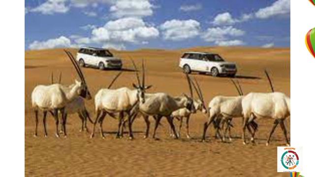 Отта-оркестра. Какие девчонки- молодцы! Драйв!