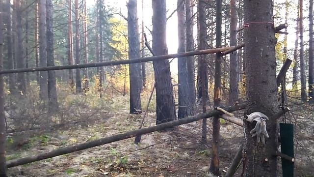 Родовое поместье на Нейве - 8 встреча - Новолетье