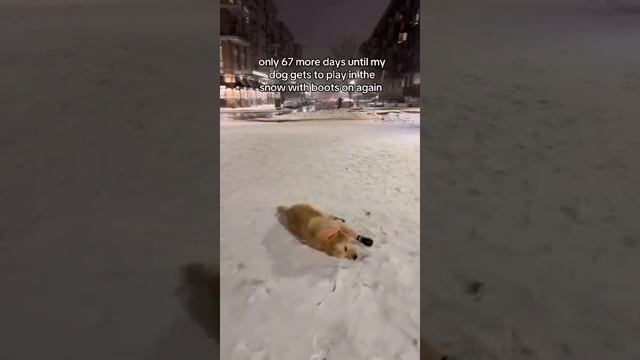 Снежная братва