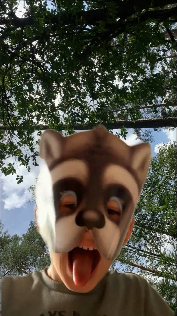 Енот педро танцует в лесу, песня pedro, вспоминаем лето)