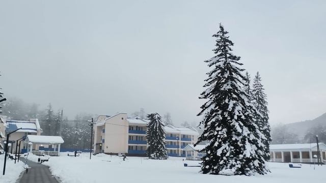 Утро 29.11.2024 г. Санаторий Кавказ. День перед отъездом.