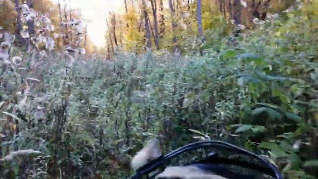 Поход в лес на электро-велосипеде.