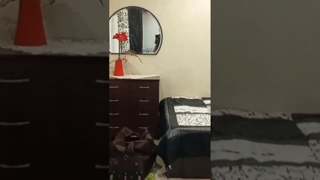 Квартира в центре Крымска с ремонтом и мебелью за 5.7 млн. р. #крымск #дом #переезднаюг #квартира