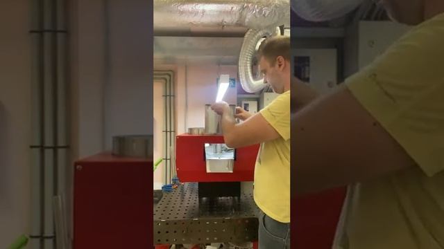 Вернулись из Ленинск-Кузнецка с приобретением.