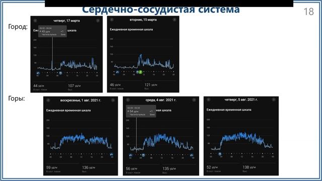 Общая физическая подготовка горного туриста