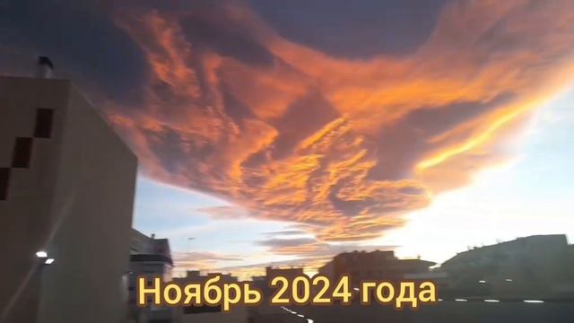 Утро и вечер декабря 2024 года