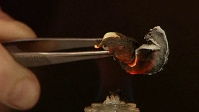 077. Змея - разложение глюконата кальция