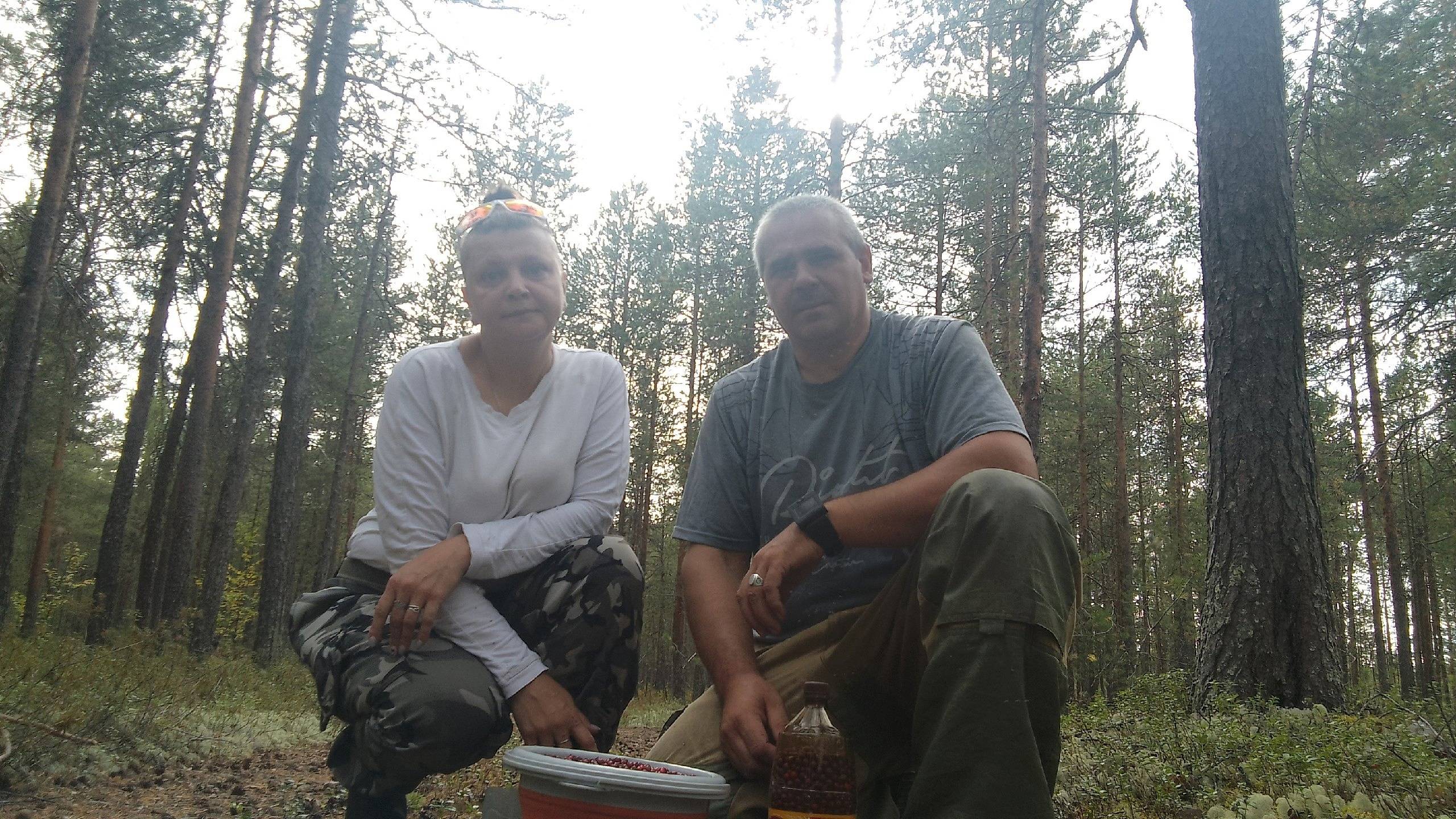 Закрыли сезон по сбору ягод.