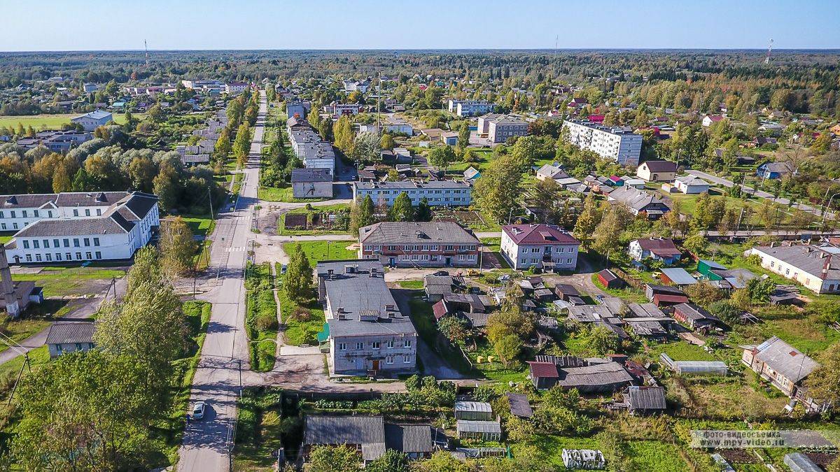 Батецкий или деревня Батецко Водской пятины