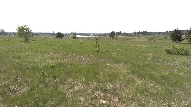 2016 год - первый год на земле - неопубликованное