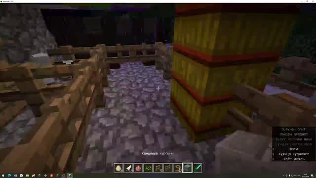 Занимаюсь курятником играем в Minecraft