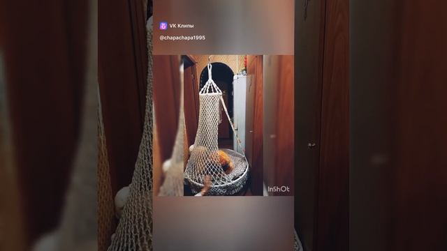 Подвесное кресло макраме, ручная работа 😊