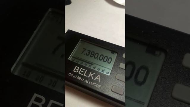 7390 kHz RNZ News (Rangitaiki, New Zealand) 20.12.24