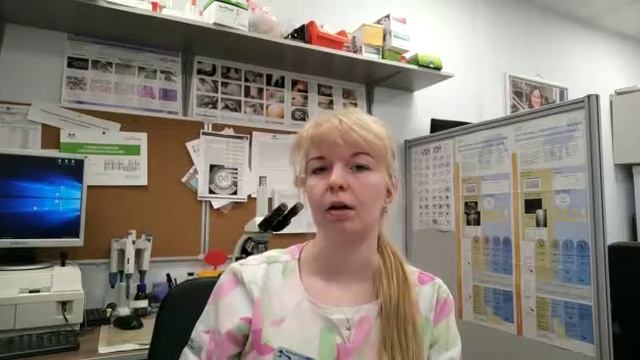 Контрацепция кошек без проведения стерилизации