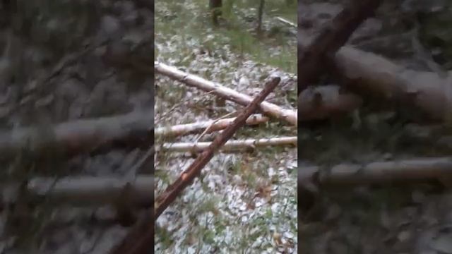 вытащил рельсу