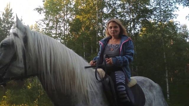 Кедры Синегорья приглашают в конную школу