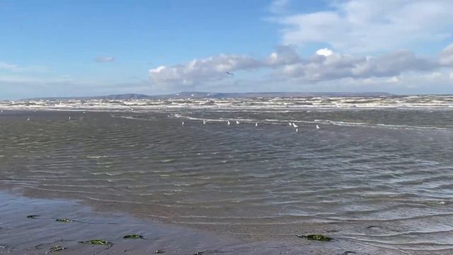 Азовское море, после шторма. 27 ноября 2023 год. #краснодарскийкрай #темрюкскийрайон #поселокильич