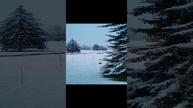 Утро 27.11.2024г. Кавказ. Пришла зима