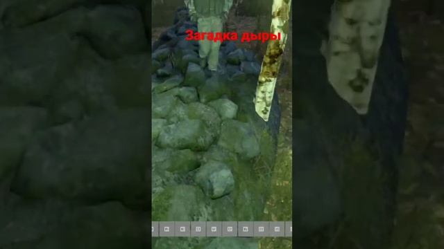 DAYZ  - Загадка дыры #игры #приколы #видеоигры #дейз #дэйз #dayz