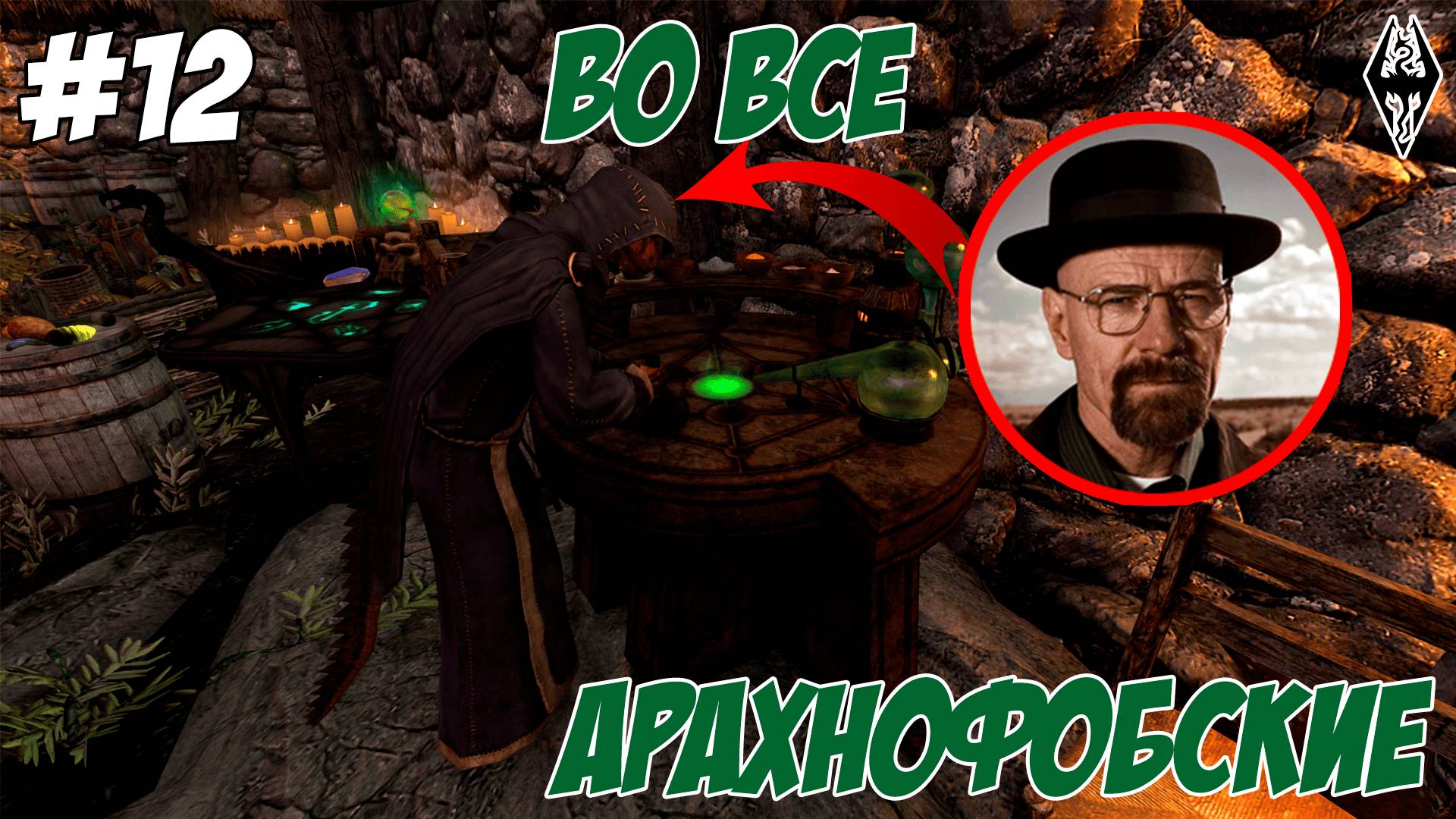 Во все арахнофобские - Skyrim SE с модами #12