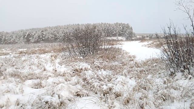 Родовое поместье Ве Лес - 10 поездка в ноябре 2016