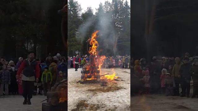 Гори гори ясно