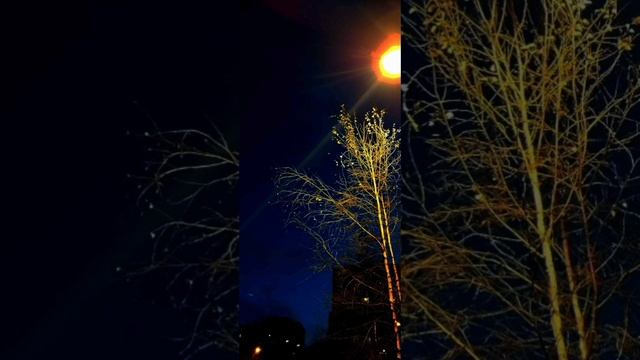 27.11.24 АЗ #ниднябезрифмы