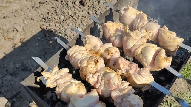 10 - 11 Сентября 2022г. Влог. Бездомные кошки.