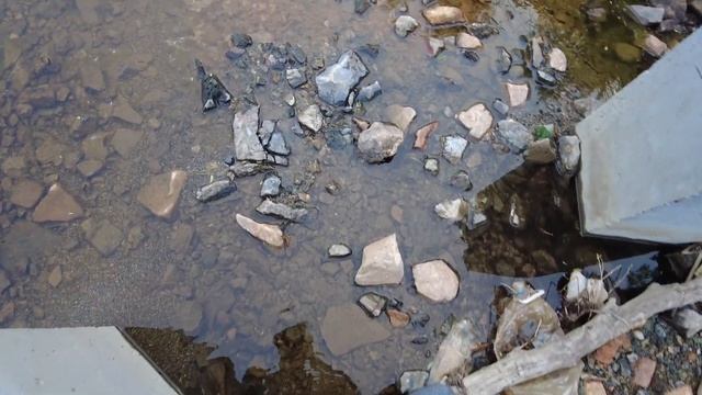 Прогулка до озера. Краснокаменск, Красноярский край