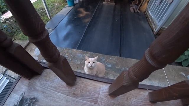 2 и 3 Сентября 2023 года. День Рождения Бабушки. Поездка на Речном Трамвайчике.