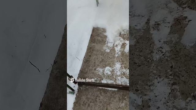 Воздуходувка бензиновая Electroline bp 700