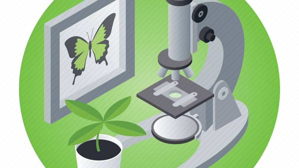 21.12.2024 Биология Решение задач по молекулярной биологии в формате ЕГЭ